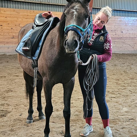 Jeroen XX40 tilgjengelig for avl 2025 | FINN-torget