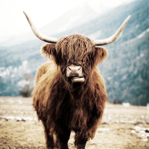 3 plakater/bilder fra Desenio | FINN-torget