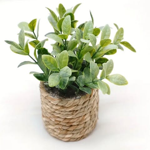 LED plantelys | FINN-torget