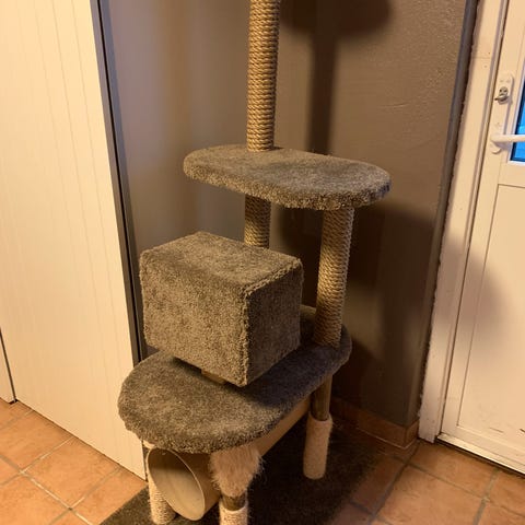 Kattetre/kattestativ | FINN-torget