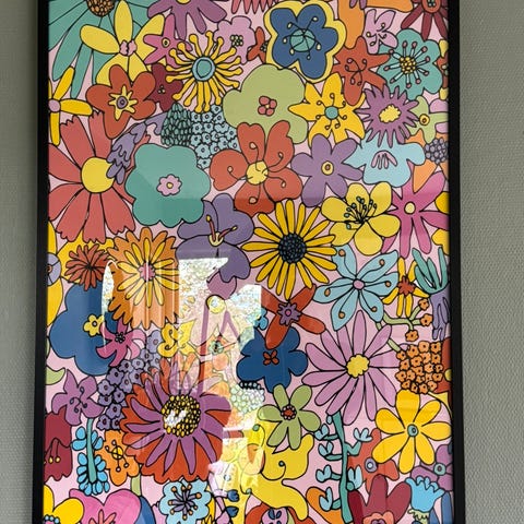 Frida Kahlo plakat med ramme | FINN-torget