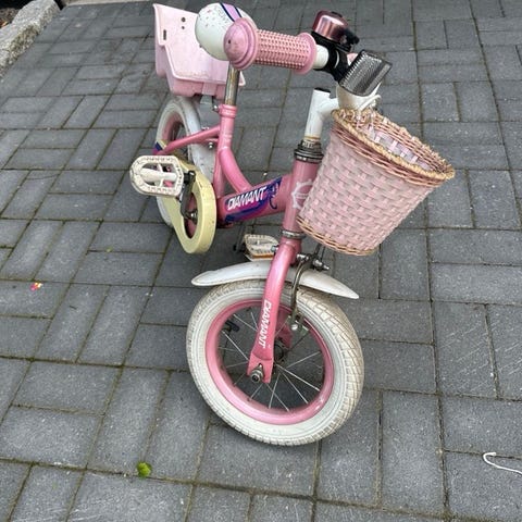 DBS til jenta '12 rosa fantus og fanturangen | FINN-torget