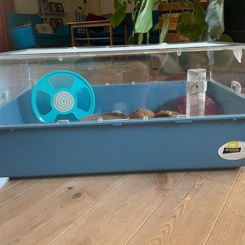 Hamsterbur Duna fun large | FINN-torget