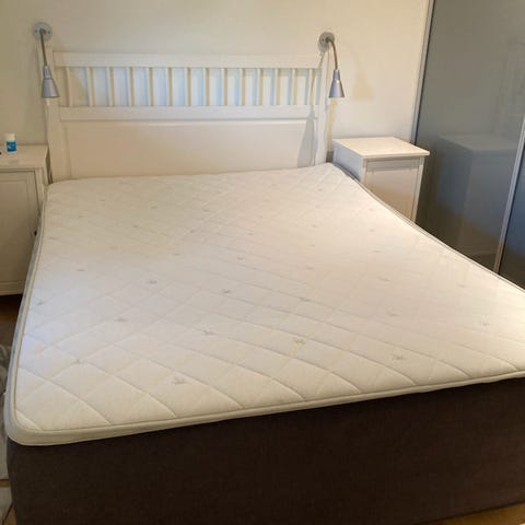 Svane Zenit Plus Kontinental | FINN-torget