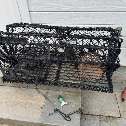 Hummerteiner / Krabbeteiner, våre modeller fra OK Marine | FINN-torget