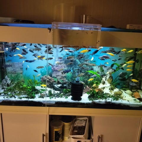 250 liters akvarium med pumpe og møbel | FINN-torget