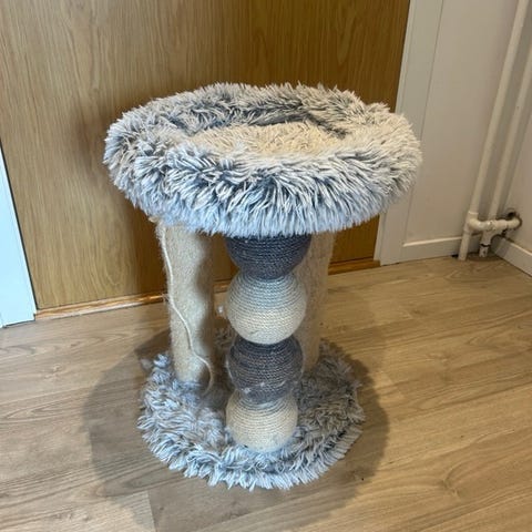 Kattetre med rom | FINN-torget