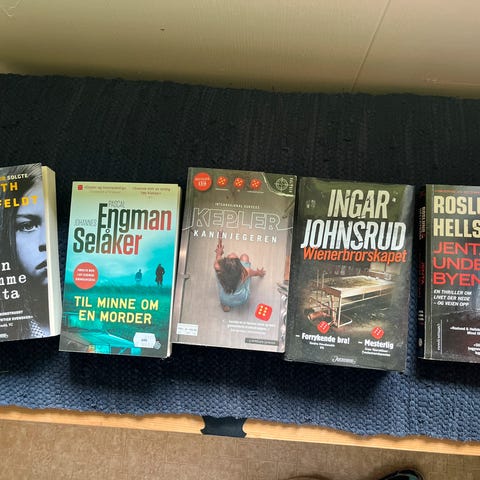 Marc Dolan : Bruce Springsteen Rock 'n' Roll | FINN-torget