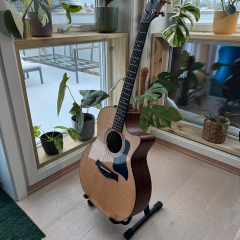 Taylor 114e | FINN-torget