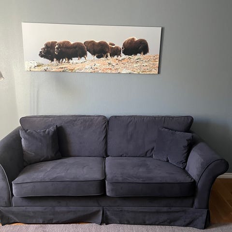 Fire loungestoler i metall med grå puter | FINN-torget