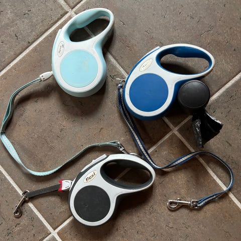 Et Nytt parti med hundeutstyr til hund | FINN-torget