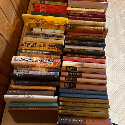 Gift med Gro av Olav Arne Brundtland | FINN-torget