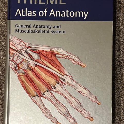 Thieme Atlas of Anatomy Volume 1 General Anatomy and Musculoskeletal ...