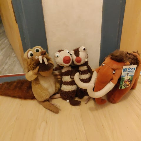 Istid 5 Enøyde Buck | FINN-torget