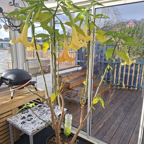 Metall Balje med Stativ | FINN-torget