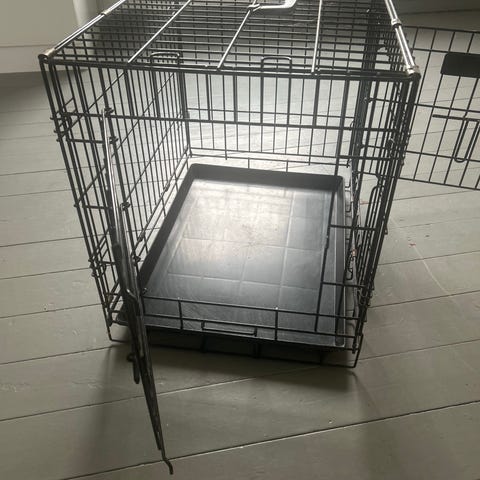 Godt brukt suit royal rotte bur gis bort | FINN-torget