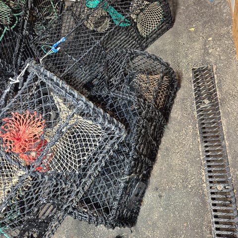 Scotteteiner / hummerteiner / krabbeteiner | FINN-torget