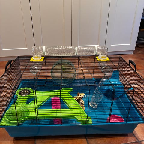 Hamsterbur / smågnagerbur | FINN-torget