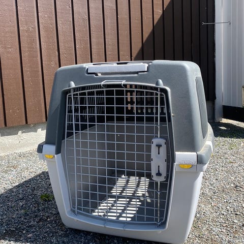 Godt brukt suit royal rotte bur gis bort | FINN-torget