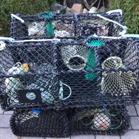 Krabbeteiner/hummerteiner | FINN-torget