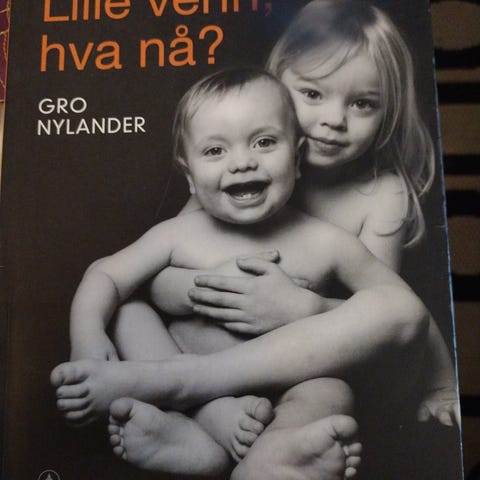 Gro Nylander Lille venn, hva nå? Bok | FINN-torget