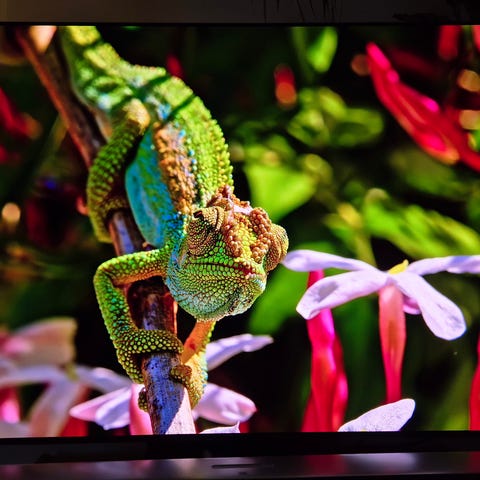 Samsung 65" Q80T 4K UHD QLED Smart TV QE65Q80TAT | FINN-torget