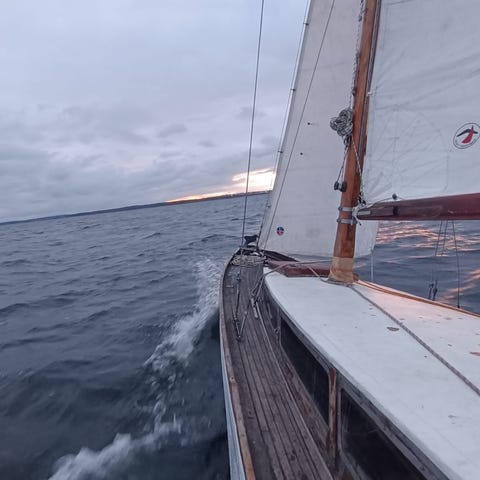 Rødspritbluss gis bort | FINN-torget