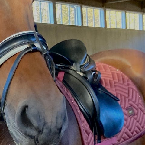 Ny Sprangsal 15" | FINN-torget