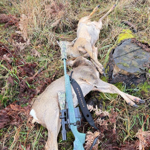 Tikka t3x 270win stainless links | FINN-torget