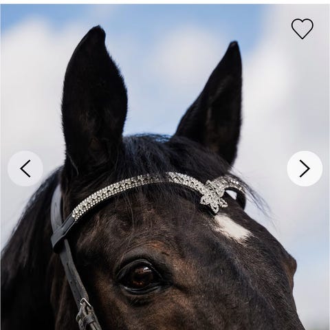 Fairfield pannebånd str Cob | FINN-torget