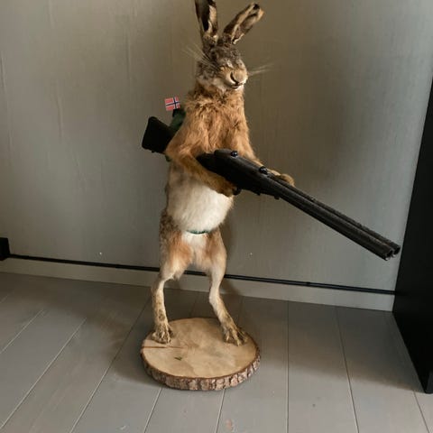 conibear 120 | FINN-torget