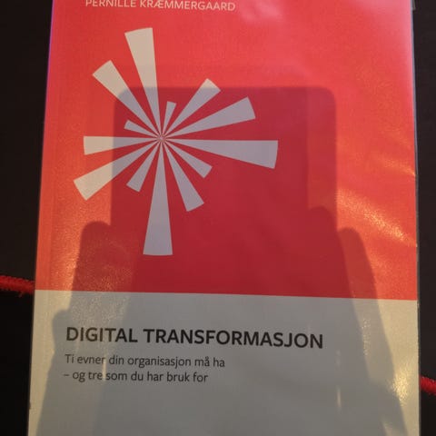 David L. Rogers The Digital Transformation Playbook bok | FINN-torget