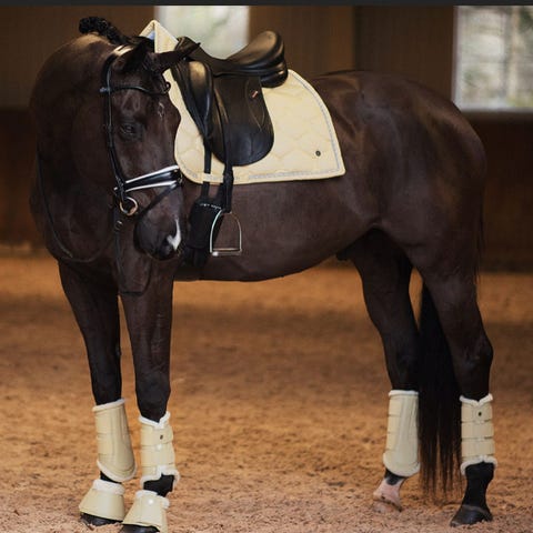 PS of Sweden Signature dressursjabrak Full | FINN-torget