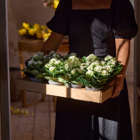 Ferdig nettbutikk til salgs: Farskapet.no – klar til å tjene penger fra ...