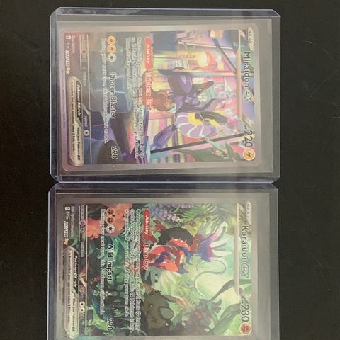 NM Kogas Beedrill fra gym heroes jp | FINN-torget