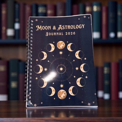 Alberto Toribio Dirtbag Astrology bok | FINN-torget