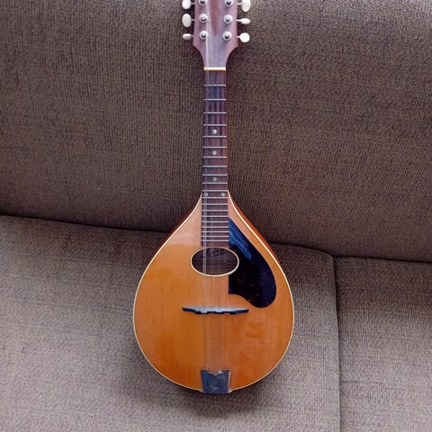 Otwin mandolin | FINN-torget