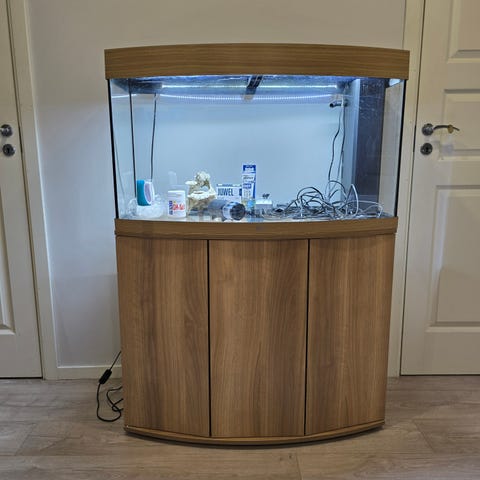 Koi | FINN-torget