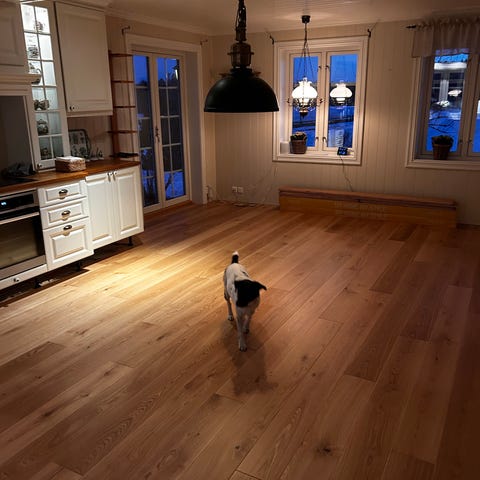 Parkettgulv lønn – 5-6 m2 | FINN-torget