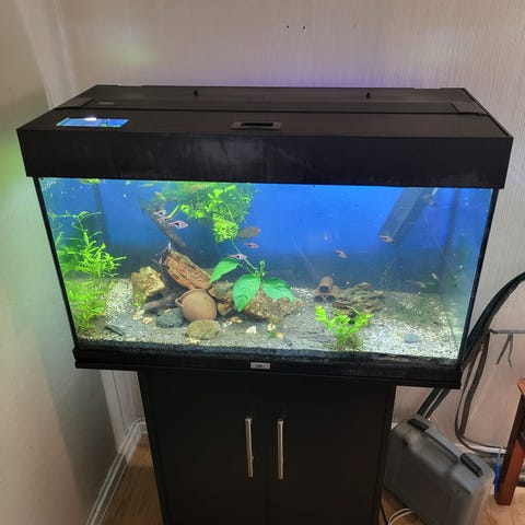 120L aquarium med fisk og utstyr | FINN-torget