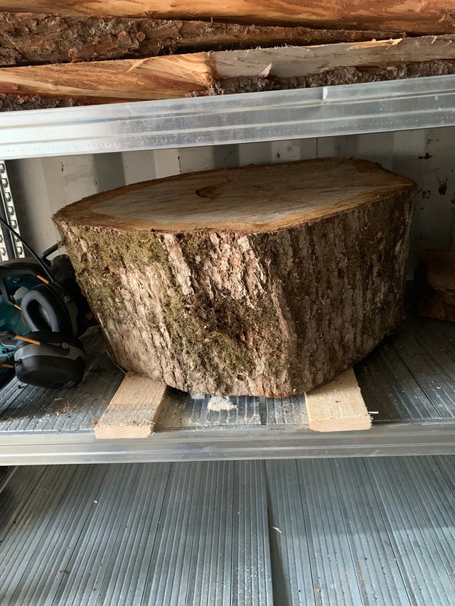 Treverk / Tremener / Eik / Ask / Alm / Sedertre / Kastanje | FINN-torget