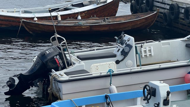 Til salgs: Schat-Harding - 1990 | FINN.no