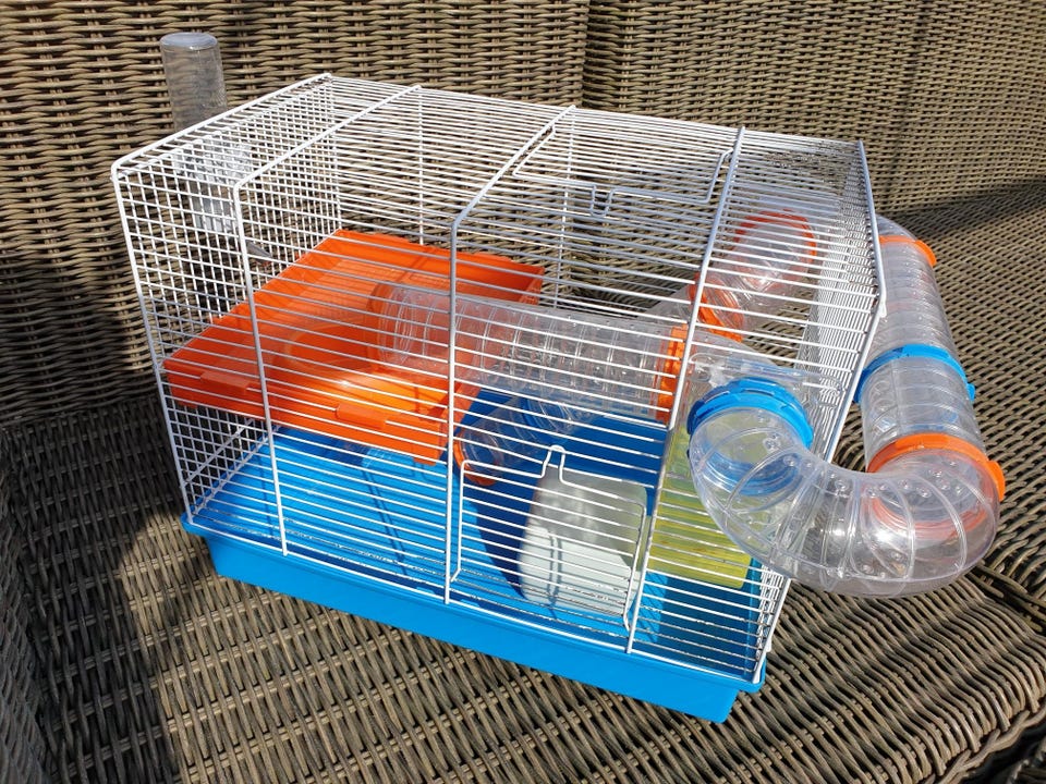 Mye hamster utstyr selges rimelig | FINN-torget