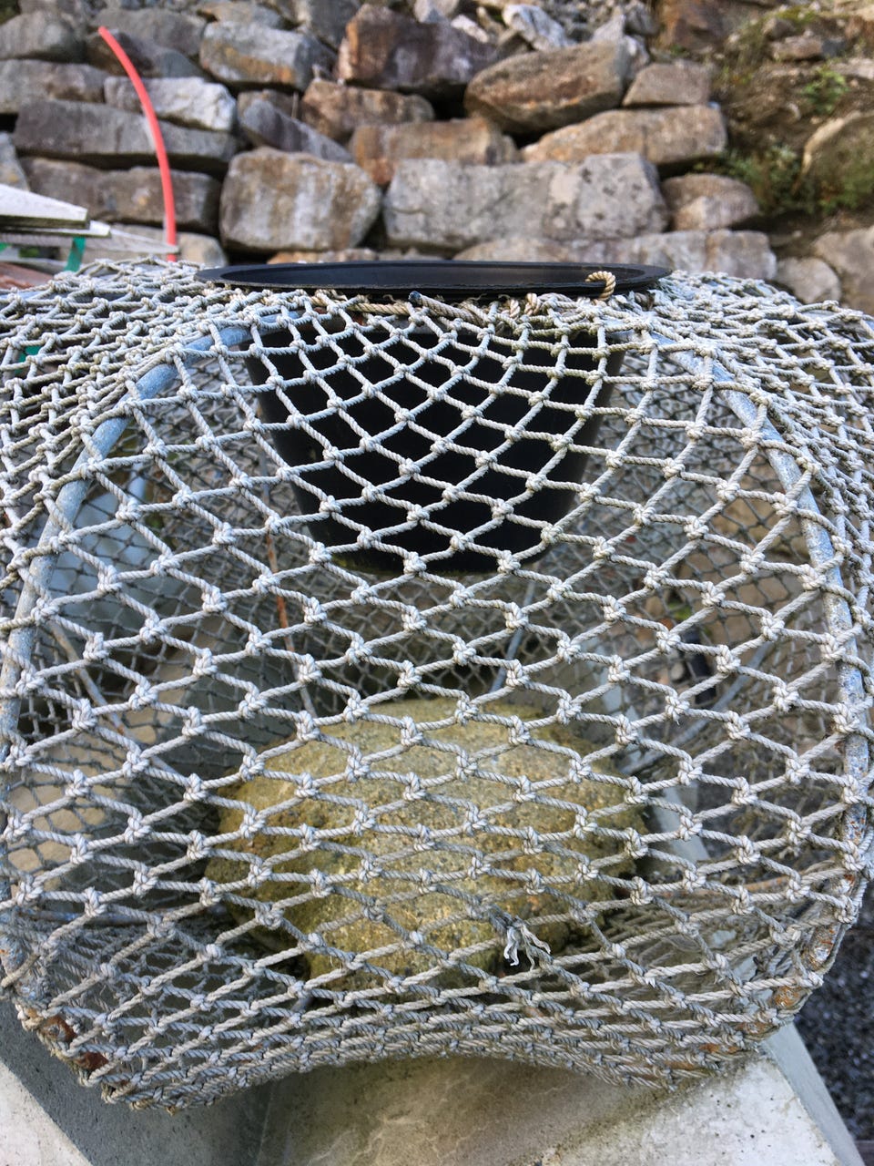 2 stk teiner til salgs | FINN torget