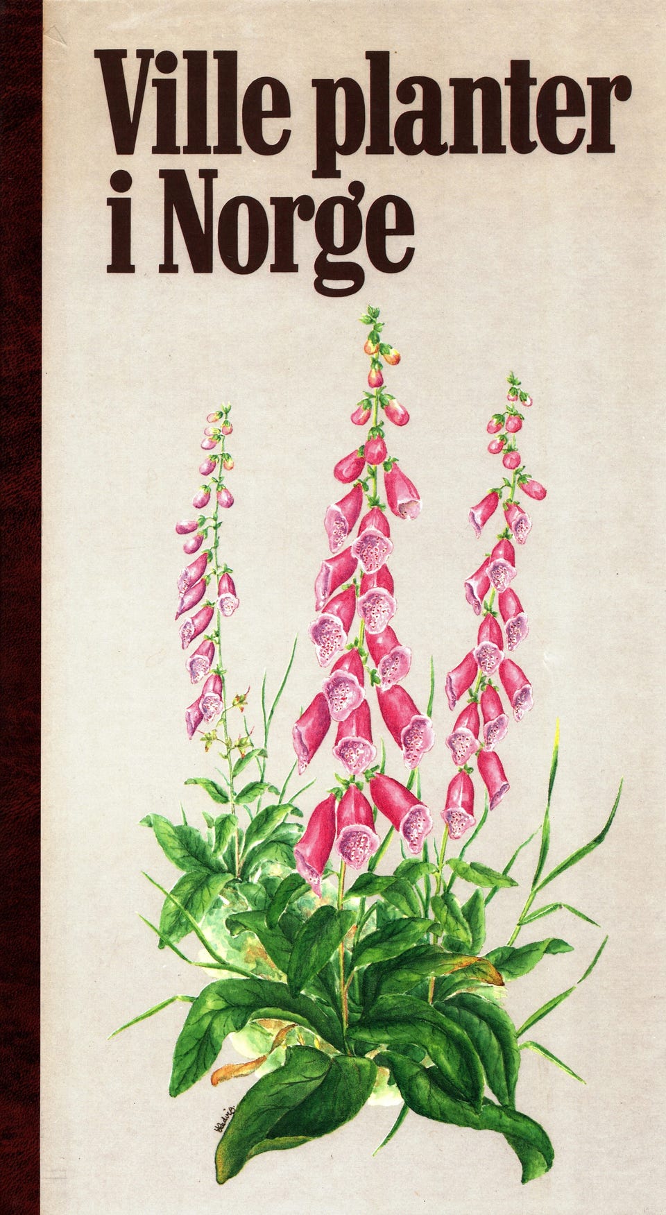 Geir Thomas Risåsen: Eidsvollsbygningen. Carsten Anker og Grunnloven ...