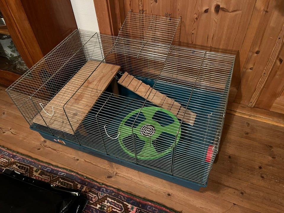 Bur til marsvin / kanin / hamster 118 cm langt, selges | FINN-torget