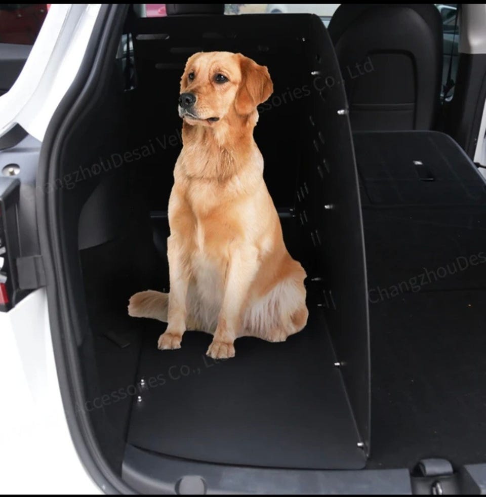 Hundebur Tesla Model Y | FINN-torget