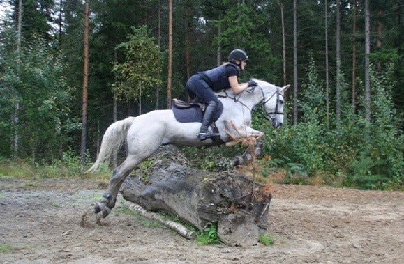 Connemara kat. 1, trygg læremester selges med utstyr. | FINN-torget