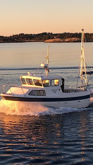 Til salgs: Master 740 Combi - 1987 | FINN.no