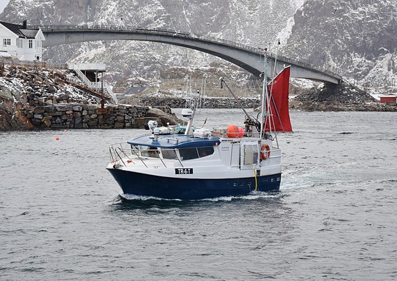 Til salgs: Selfa Garn og teinerigga - 2010 | FINN.no